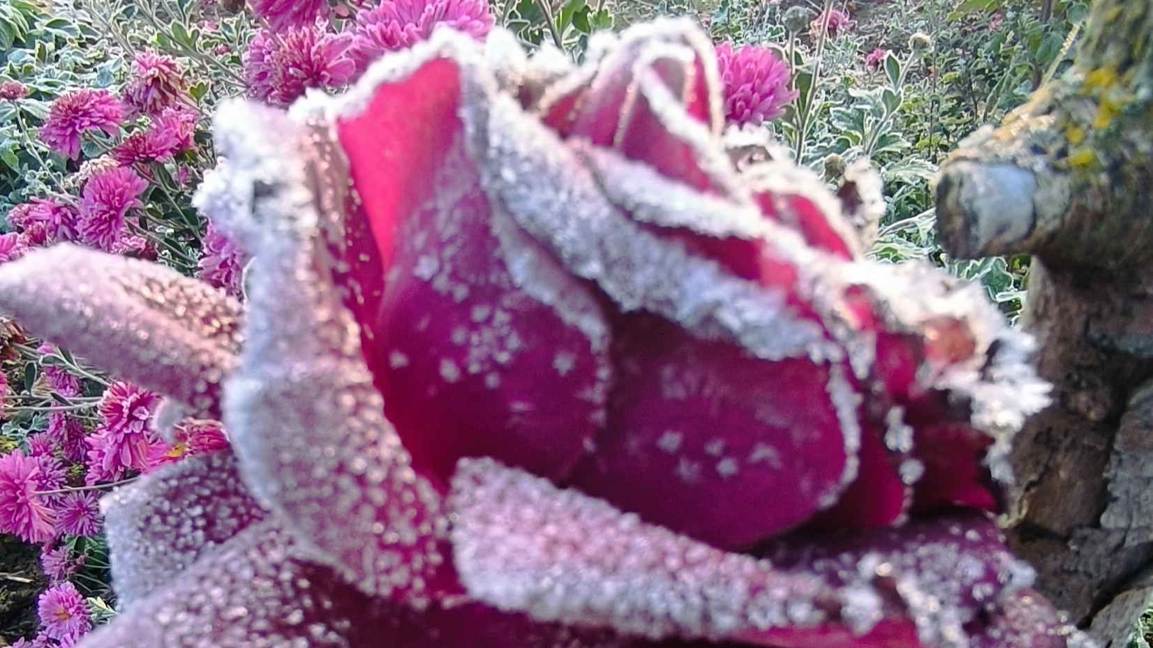 Красота от природы