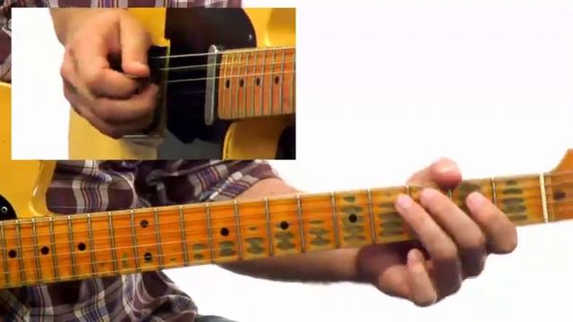 3  Chicken Pickin'  Study 1   Performance