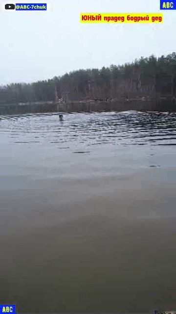 Фитнес на воде 04.12.2025 #юныйпрадедбодрыйдед #будогощь