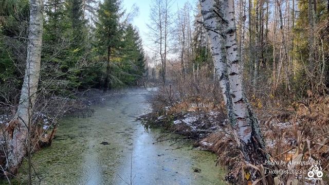 На фэтбайках по 5 озерам / часть 1 / Бурино - Каменный мост