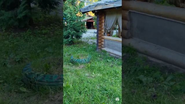 На велике в Акиньшино вдоль Клязьмы