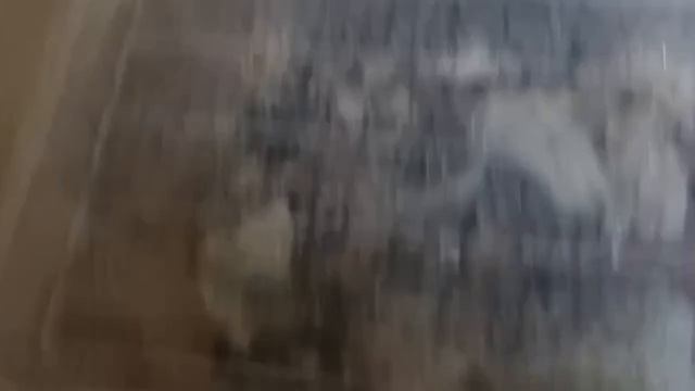 Ошибки традиционного земледелия. Часть третья