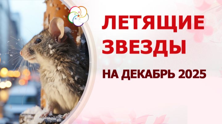 ФЭН ШУЙ 2025: прогноз по летящим звездам на ДЕКАБРЬ 2025