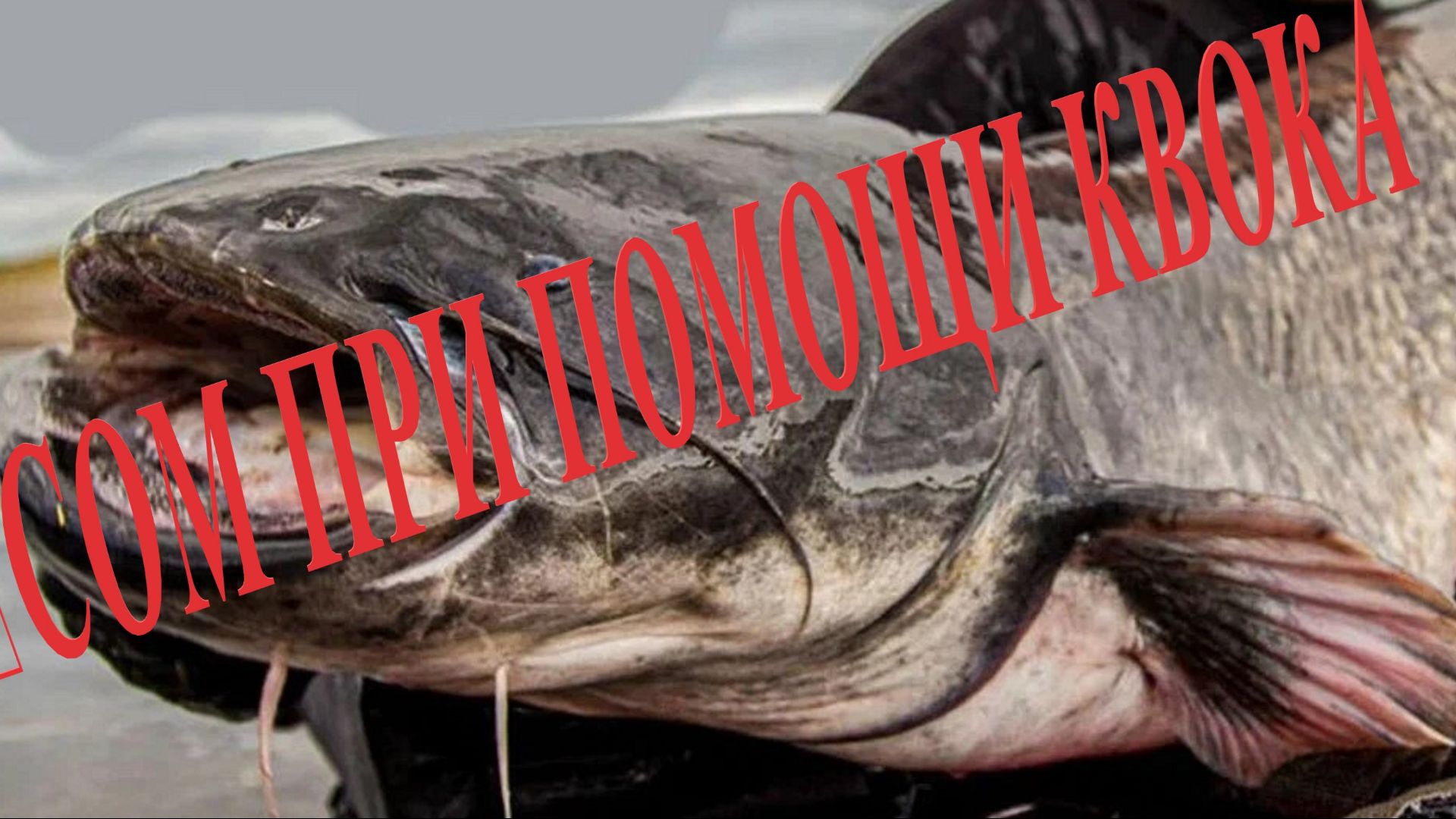 ТИЗЕР СВОИМИ РУКАМИ, ДЛЯ ЛОВЛИ СОМА…