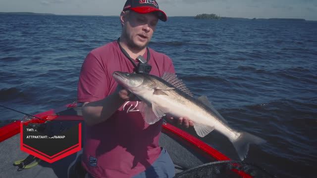 "АКВАТОРИЯ СПИННИНГА"