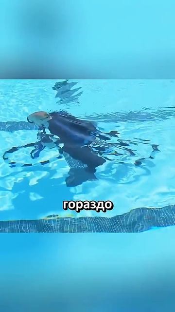 Разрушители легенд