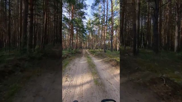 Покатушка на Кщару и Юхор на фэтбайке