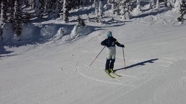 Самое вредное упражнение