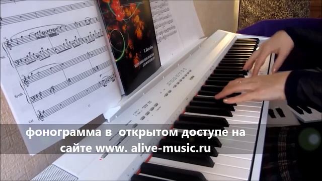 Поль Мориа - Токката , серия "Играем с виртуальным оркестром"