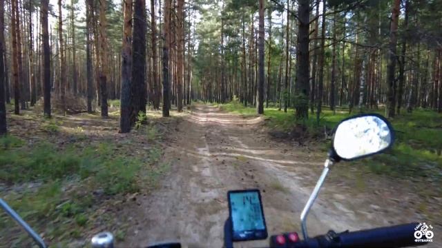 Покатушка на велике в Клязьминско-Лухский заказник. Часть 1. От Вязников до Каменного моста