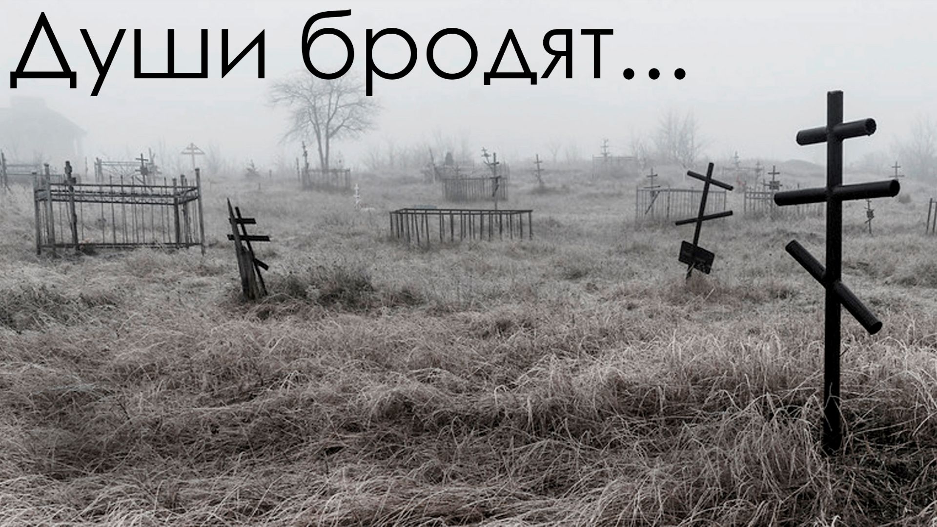 КОГДА ПОРТРЕТ НАЧИНАЕТ ДЫШАТЬ… ЖГУЧАЯ ТАЙНА КЛАДБИЩА