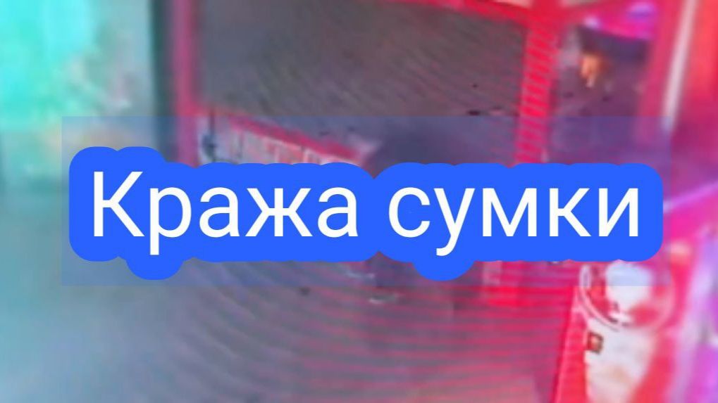 В Тюмени полицейские раскрыли кражу сумки