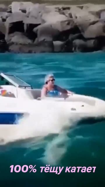 Шикарная прогулка