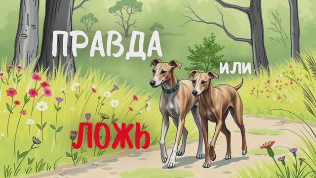 ЧТО ВЫ ОБО МНЕ ЗНАЕТЕ?