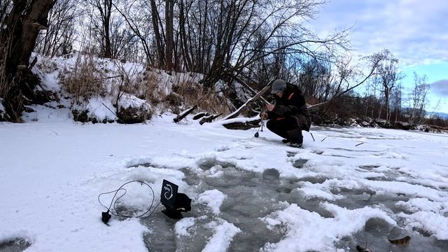 Уехал Рыбачить подальше от всех. Нашёл окуней и сарогу. Хорошо получилось.