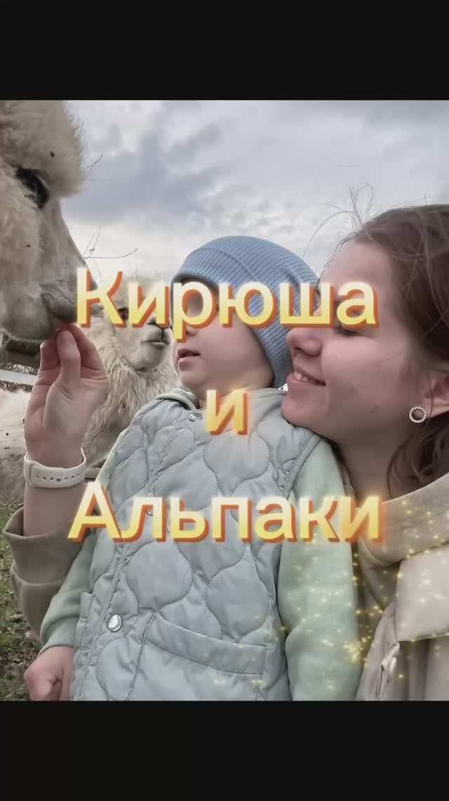 Клип | Кирюша и Альпаки | г. Горячий Ключ | Краснодарский край ! Sou Cute #мирувлечений#животные