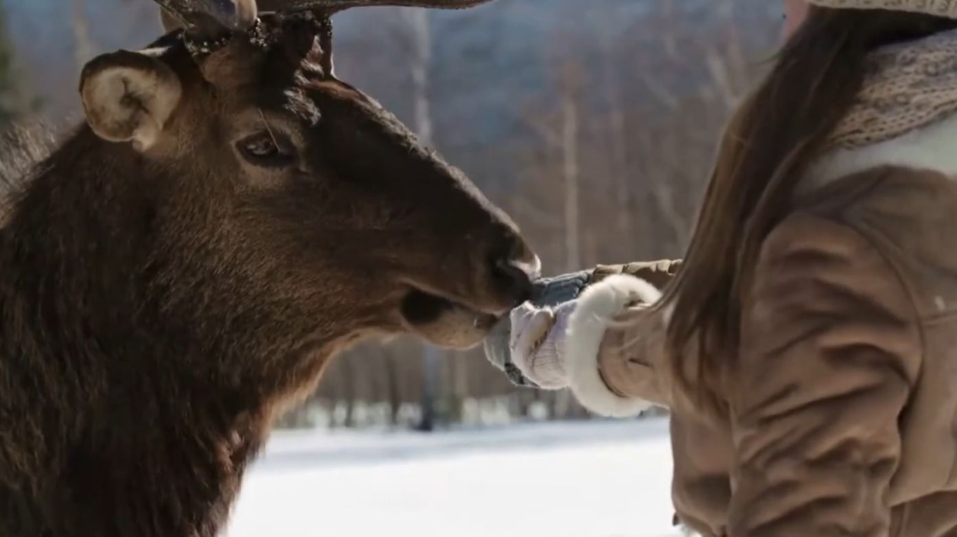 Рихард Вагнер.  Мелодия из оперы  Тангейзер. Richard Wagner. Melody from the opera Tannhäuser