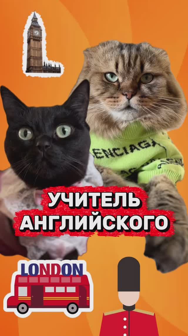 Учитель английского🤓😹 #котики #юмор #сериал #КиноКотКаст