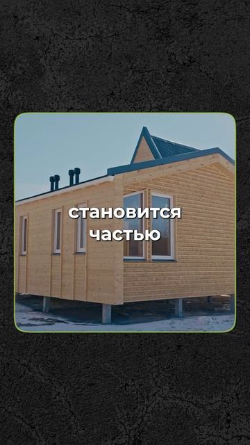 Как дерево обретает вторую жизнь в вашем доме? #стройка #стройматериалы #качество