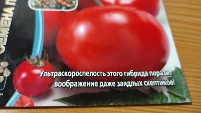 Какие сорта и гибриды низкорослых  томатов я буду выращивать в садовом сезоне 2026