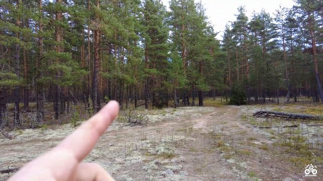 На фэтбайках от Юхора до Истока