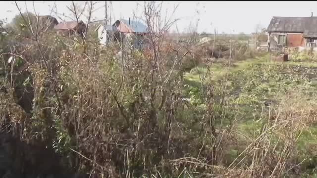 Удаление пеньков от деревьев и кустарников