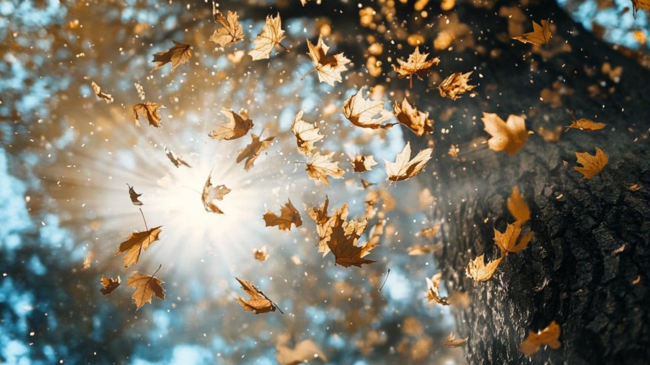 Замена смыслов: потребитель, борец, Творец