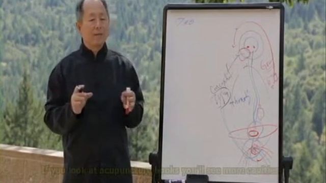 Боевой Цигун 8. Углубления Ци и Акупунктура Ян Цзюньмин