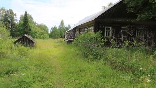 Заброшенная деревня в Костромской области. Дома в глуши. Все оставлено.