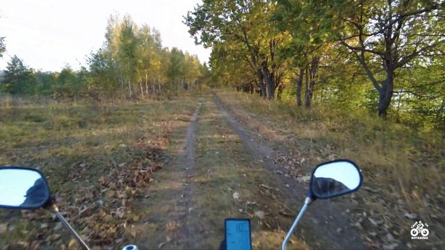 На фэтбайке от Подгорки до Быковки