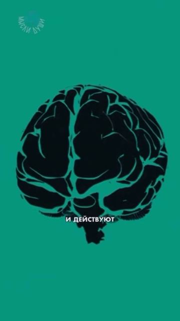 Ваши слова - коды  для новой реальности