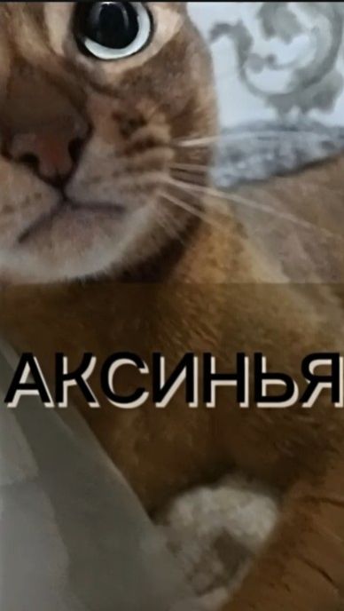 Нежнятинка моя 🤗