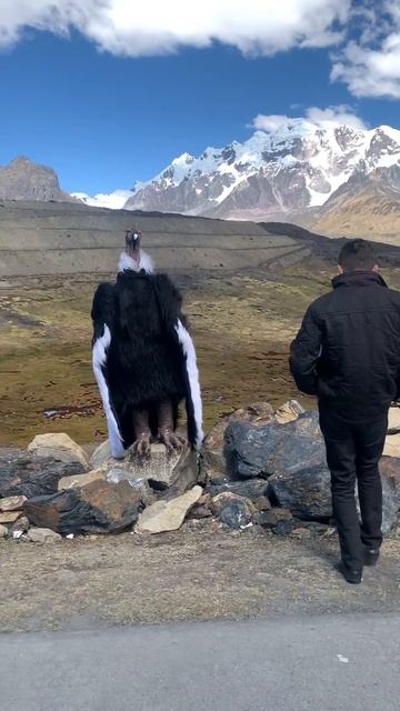 Что тут происходит