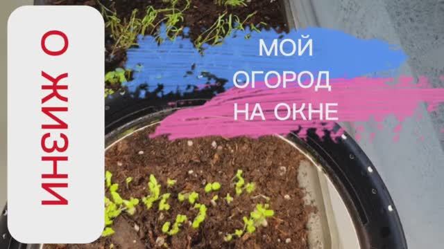 ЧТО ГОТОВЛЮ, КАК СТРИГУ? Я СЕЙЧАС ВАМ РАССКАЖУ. 🤣🤣🤣