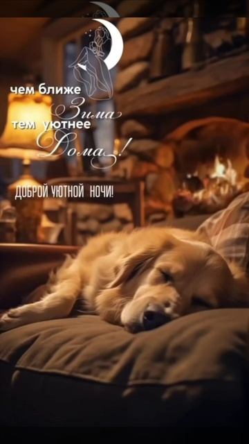 Доброй уютной ночи
