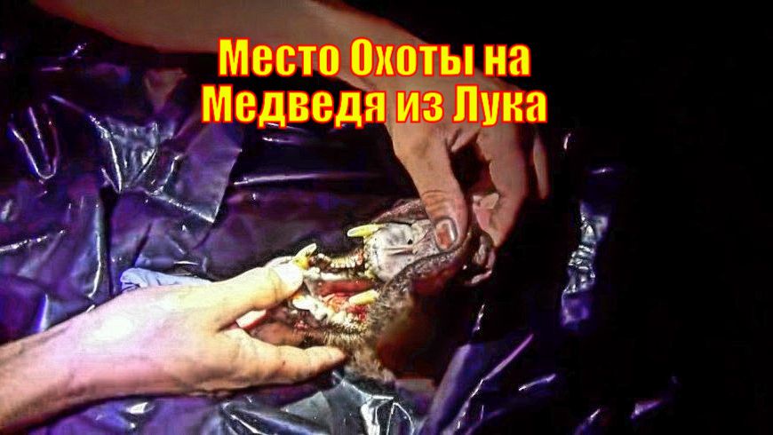 Место Охоты на Медведя из Лука