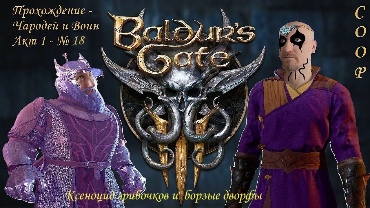 Baldurs Gate 3 - Прохождение. Чародей и Воин акт 1! №18 - coop