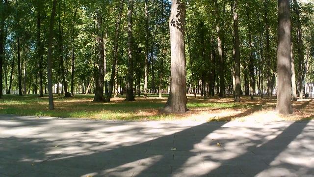 родной узор