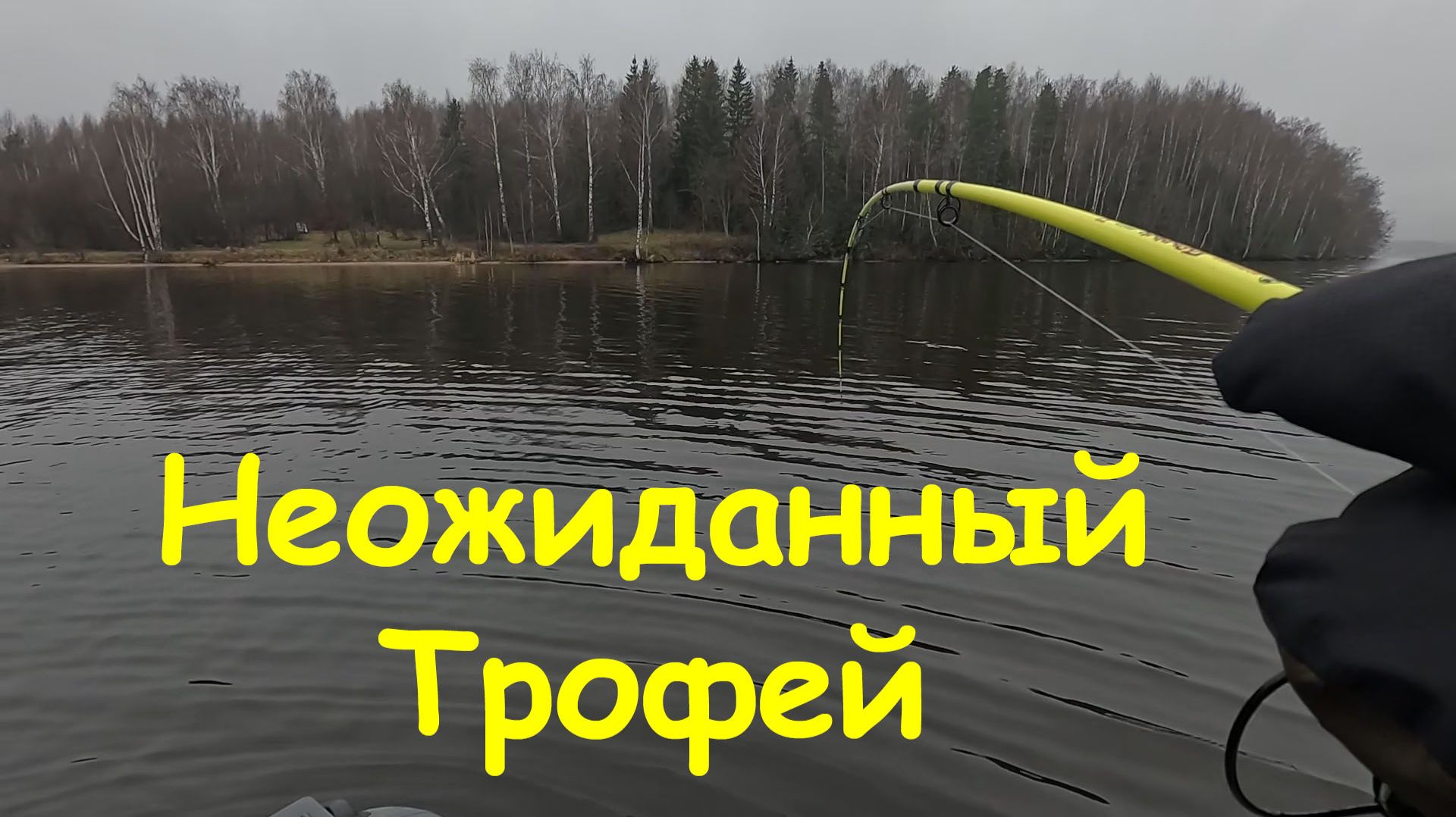 Ловим в отвес, на троллинг и джиг. Неожиданный трофей.