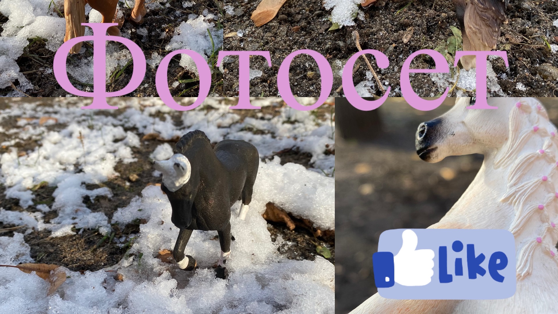 Фотосет лошадей шляйх🥰