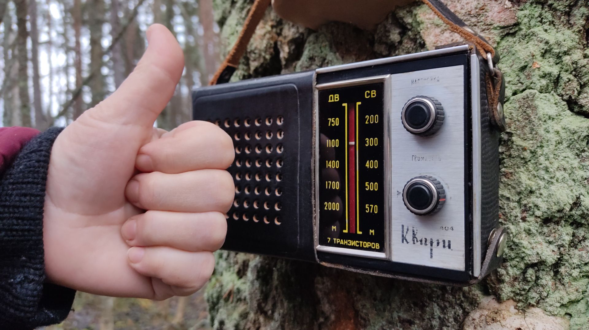 Ремонт и обзор вечернего эфира - радиоприёмник КВАРЦ 404 из СССР #oldradio