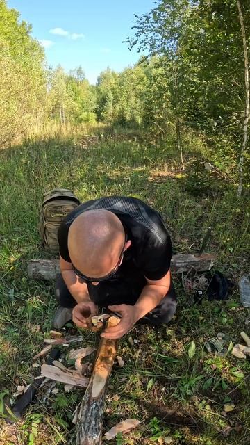 Добыча огня чагой #bushcraft #бушкрафт #туризм #лайфхак  #поход #лес #огонь