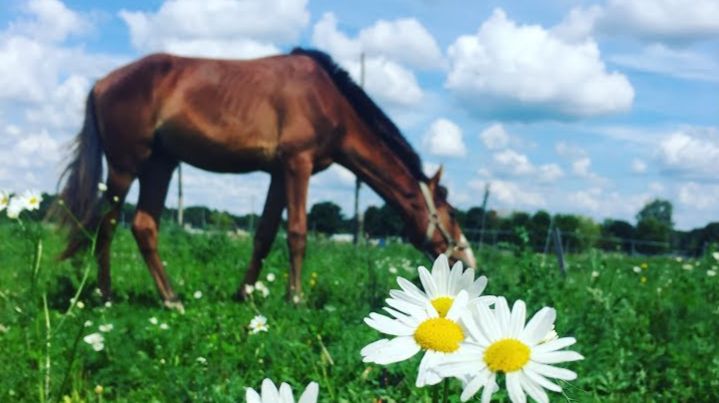 Домашнее задание 1