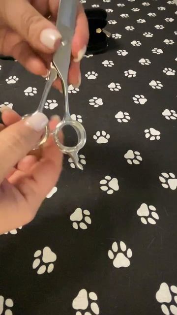 Ножницы MOON PROFI ACCORDO 7.0 шанкофилеры изогнутые