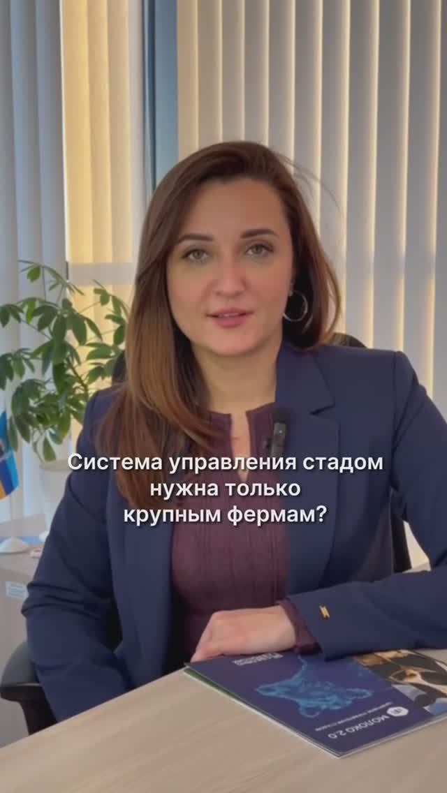 🐮Сколько стоит МОЛОКО 2.0?