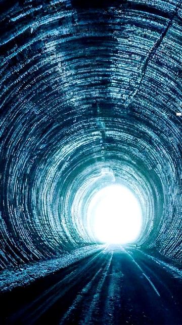 ФАКТЫ ОБ ...  1825 #shorts