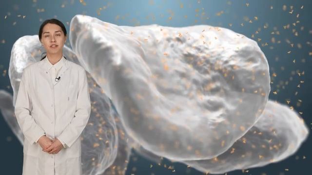 Проекты фонда