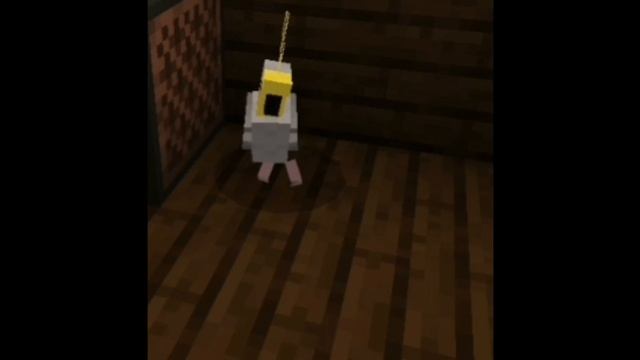 попугай танцует под музыку Джо Джо мем