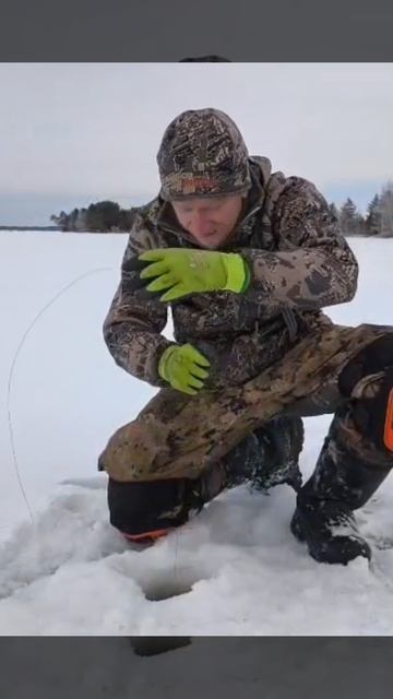 Первая щука и удачно 2025-2026