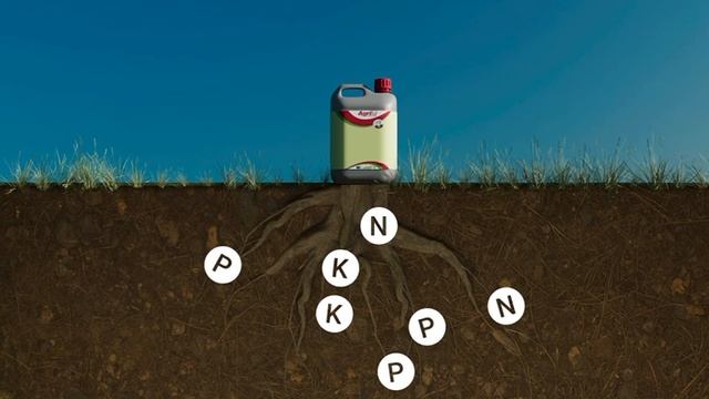 Развитие корневой системы с Агрифул Плюс